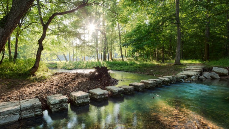 The Natchez Trace Scenic Parkway – A Closer Look – Biker Babe Mountain ...