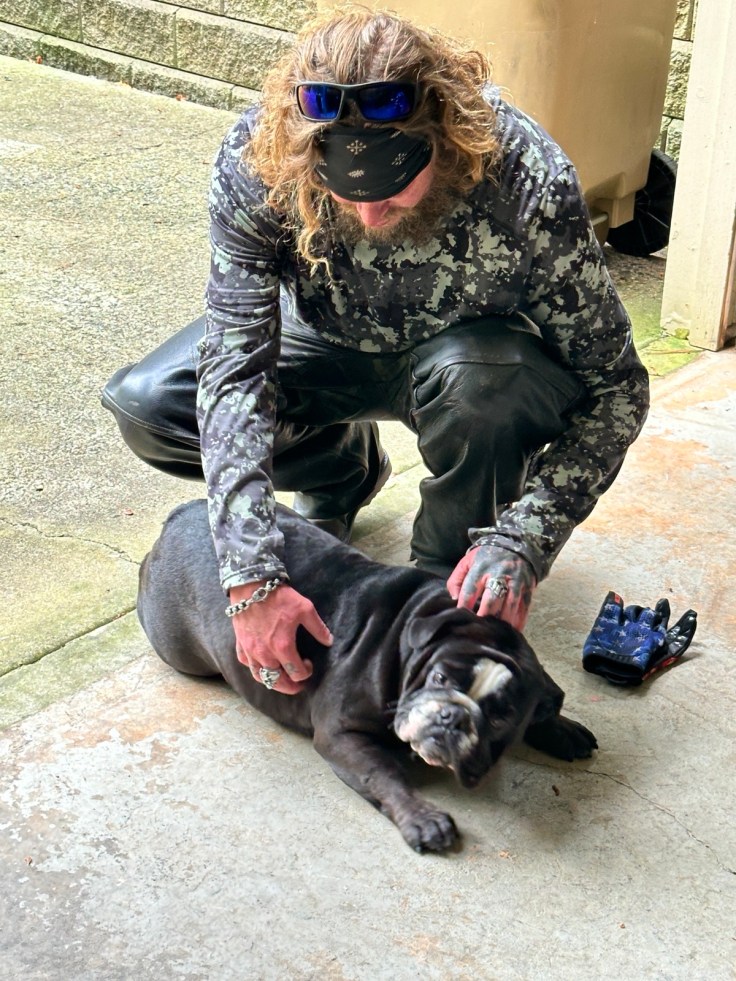 NGMR 1st Saturday Ride – Hiawassee, GA Hawg Wild – Biker Babe Mountain ...